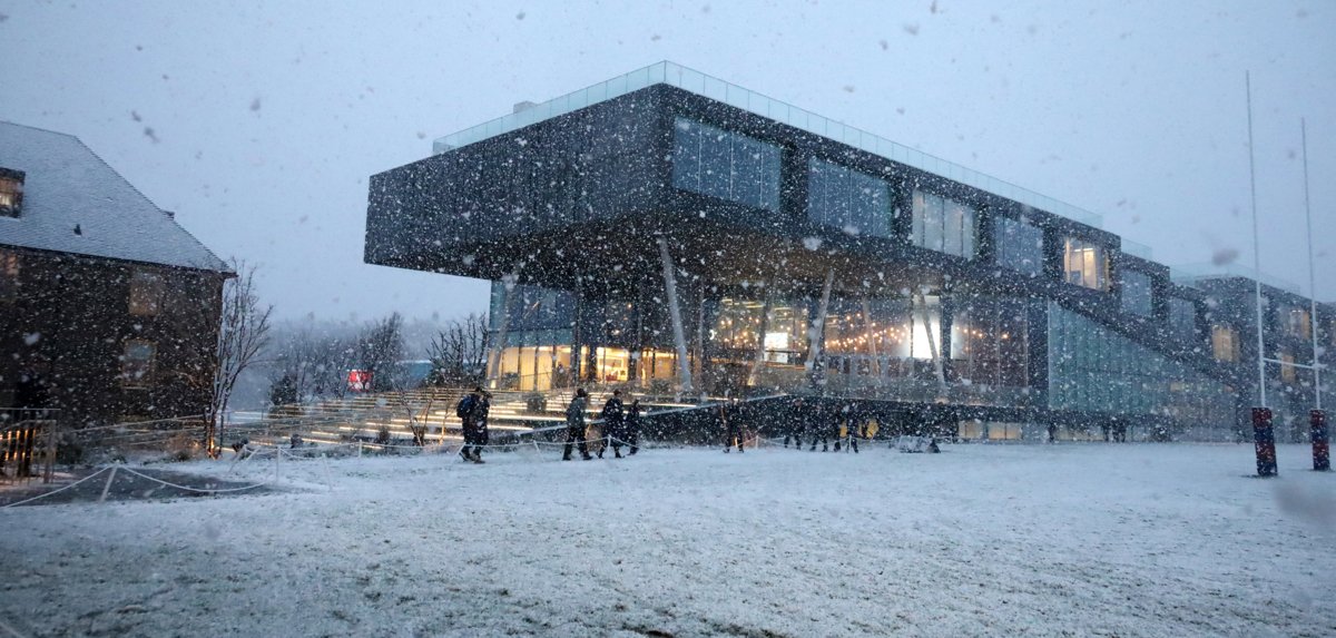 Let it Snow | Brighton College